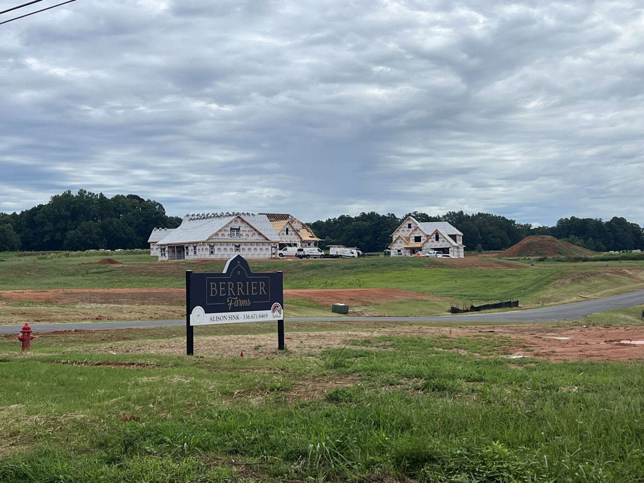 Berrier Farms Davidson County Homes For Sale - Mantle Realty